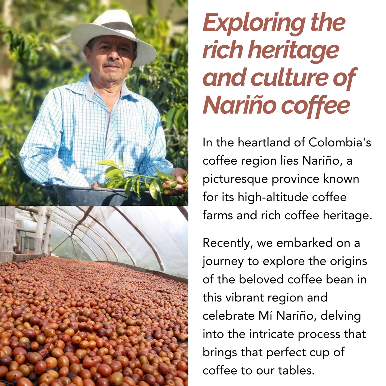 Black Acres Roastery – Black Acres Roastery-Subscriptions, Cold Brew ...